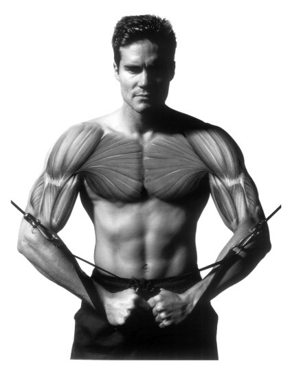 Stephan Spitzer Atelier für Medizinische Illustration