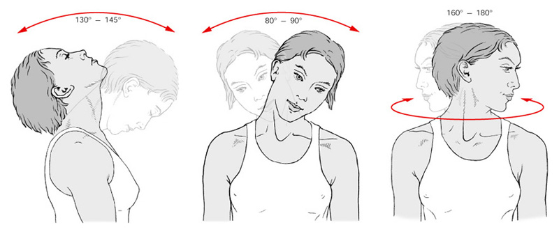 Stephan Spitzer Atelier für Medizinische Illustration