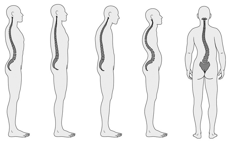 Stephan Spitzer Atelier für Medizinische Illustration