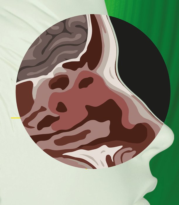 Stephan Spitzer Atelier für Medizinische Illustration