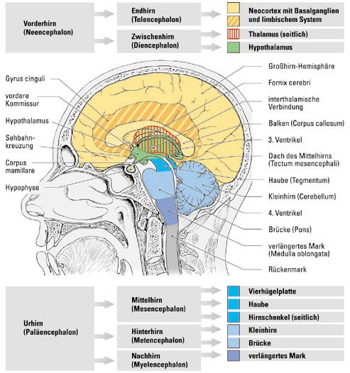 Please, activate JAVA-Script