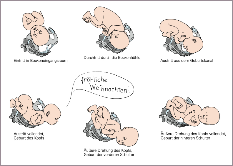 Stephan Spitzer Atelier für Medizinische Illustration
